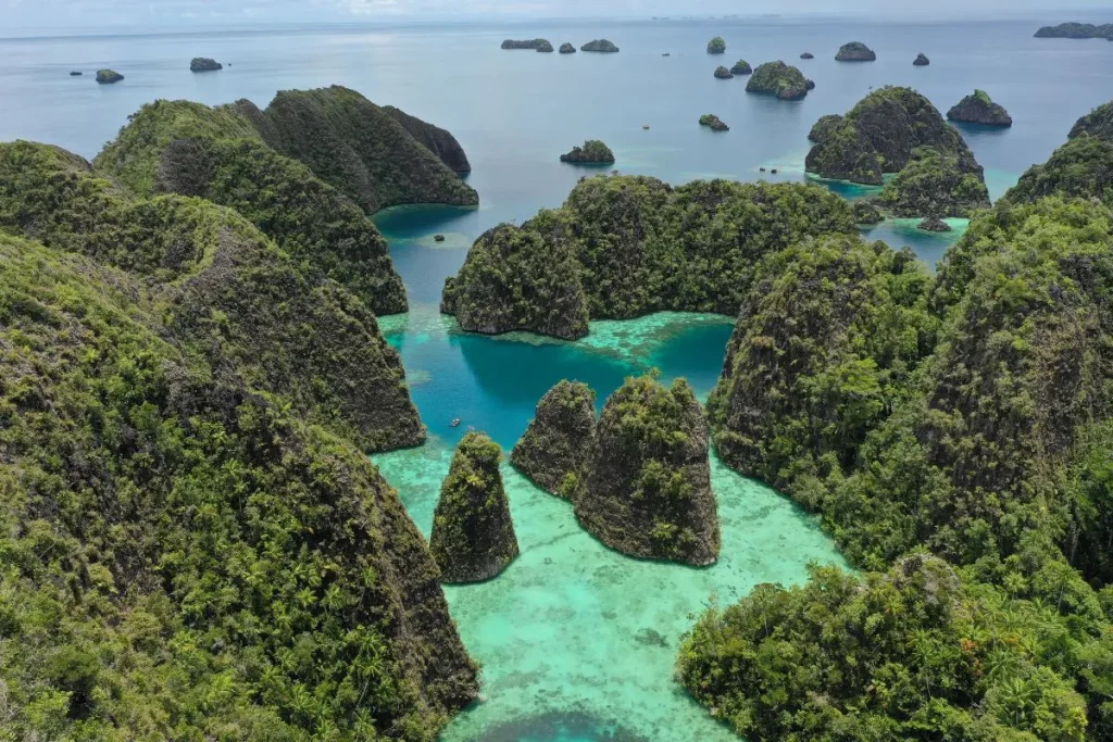 Lombok vs Raja Ampat: Which Destination is Right for Your Next Vacation ...